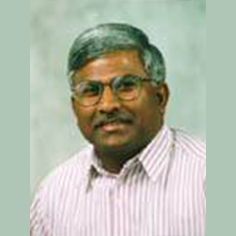 Rao Mulpuri, PhD | Institute for Digital Innovation | George Mason ...